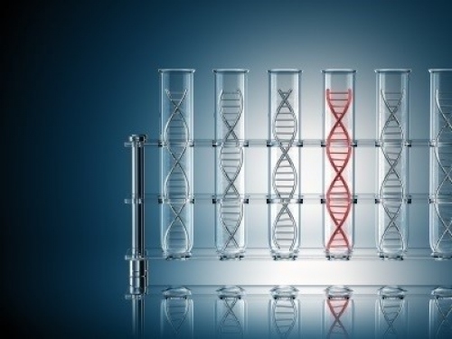 6 Kits Para Extração De Dna E Suas Funções Wako